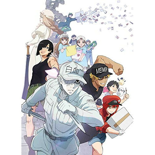 特別上映版「はたらく細胞!!」最強の敵、再び。体の中は”腸”大騒ぎ!(Blu-ray) (Blu-ray+CD) (完全生産限定版)OVA清水茜、花澤香菜、前野智昭、小野大輔、吉田隆彦、三室健太、末廣健一郎、MAYUKO　発売日 : 202...