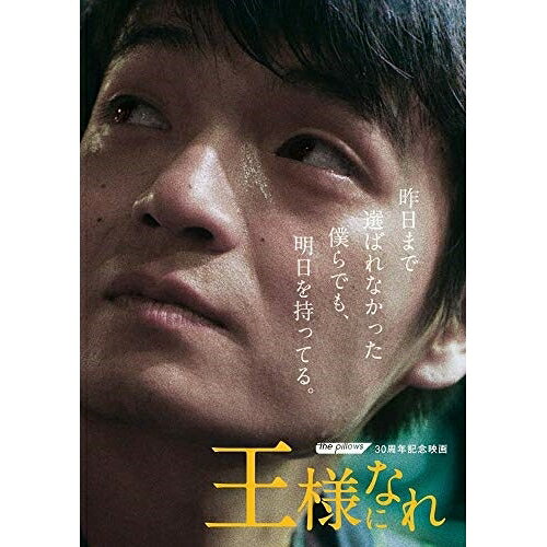 ザ・ピロウズ30周年記念映画 「王様になれ」 (本編ディスク1枚+特典ディスク2枚) (初回限定版)邦画岡山天音、後東ようこ、岩井拳士朗、オクイシュージ、山中さわお　発売日 : 2020年5月13日　種別 : DVD　JAN : 45432...