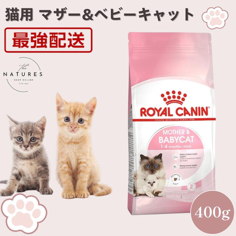 400g -/1個 (x 1)/18308・Size:1個 (x 1)・パッケージ個数:1・本体サイズ (幅X奥行X高さ) :19×6.3×45.5cm・原産国:大韓民国・種類:単品健康な猫のための総合栄養食 真性の肉食動物である猫にとって...