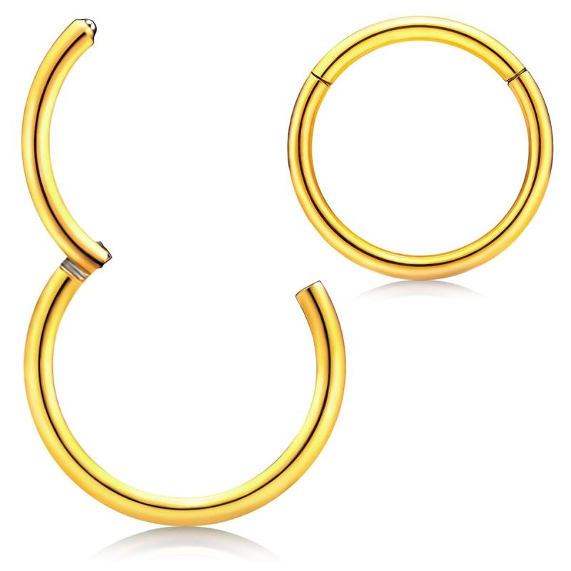 [From da Phactory] フロム ダ ファクトリー サージカルステンレスシリーズ ワンタッチセグメントリング クリッカー 2個セット 軟骨ピアス