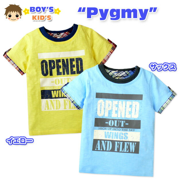 【特 長】 ・Pygmy ・襟リブ ・英字ロゴプリント ・箔プリント ・ペイントプリント ・フェイクレイヤード ・フェイクロールアップ ・半袖Tシャツ 【素 材】 ・(本体)綿110％ ・(附属部分)綿95％ ポリエステル5％ 【サイズ】 ...