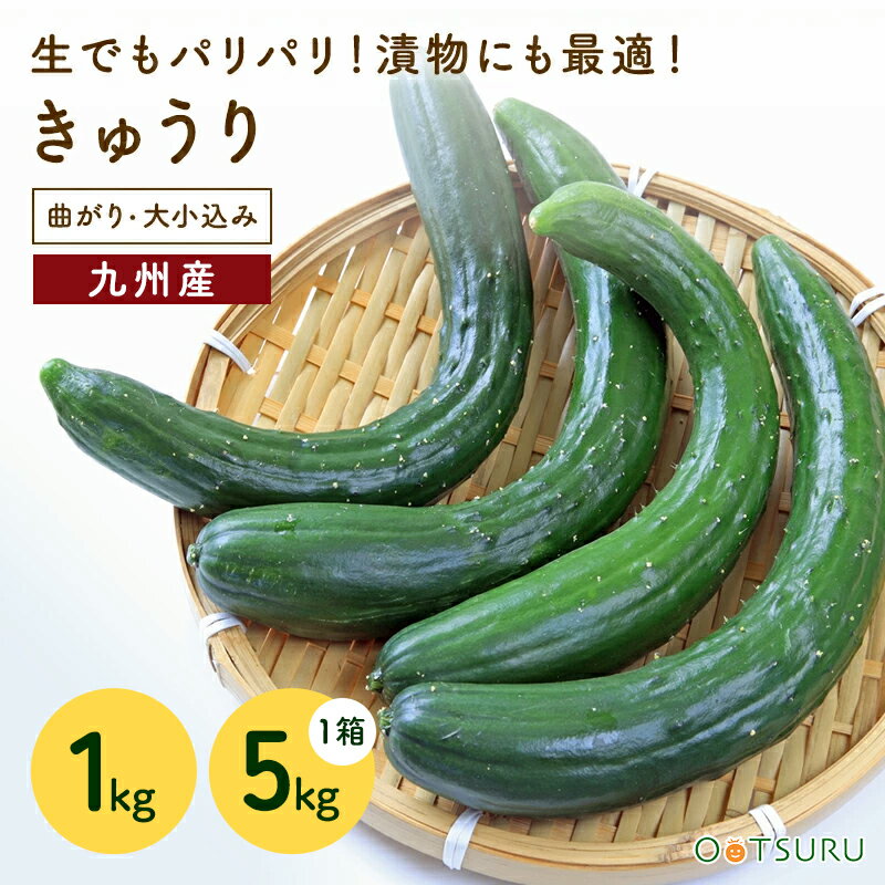曲がりや大きい、小さいがありますが鮮度、味はA級品と変わりません。お得に胡瓜を沢山食べたい方やお漬物を漬ける方などにお勧めです。曲がりや大きい、小さいがありますが鮮度、味はA級品と変わりません。お得に胡瓜を沢山食べたい方やお漬物を漬ける方な...