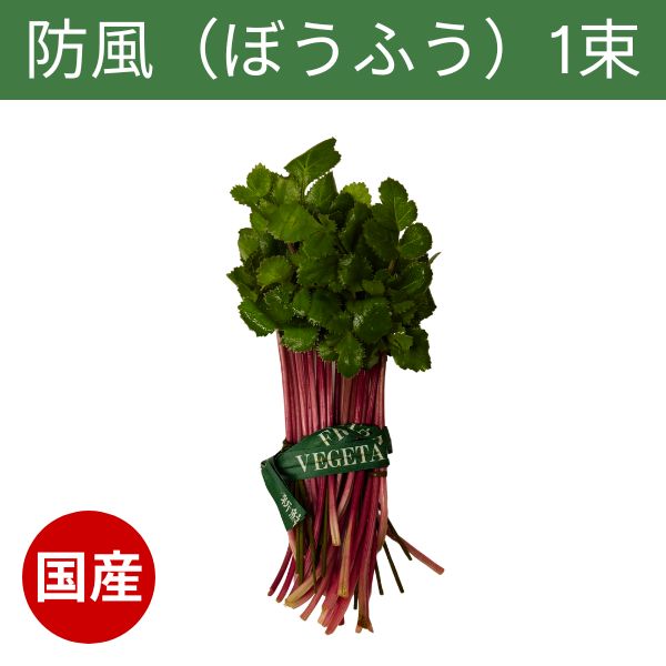 🌱 国産 防風 1束 🌱 爽やかな香りとほろ苦さ 春を感じる香味野菜「防風」です。 主に愛知県産の国産品をお届けします。 🍀 特徴 ・香りがよく、上品な風味 ・料理の彩りにもおすすめ ・和食と...