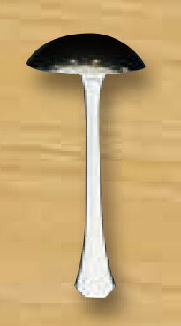 【全長】159mm 【幅】56mm 【材　質】18-8ステンレス鋼 　　　　　ハイカーボン/ハイクロム・ステンレス鋼　 　　　　　（ ナイフ刀部） 【処　理】スーパー・ミラー仕上TM 【オープンストック】39アイテム 店舗用識別コード：TK...