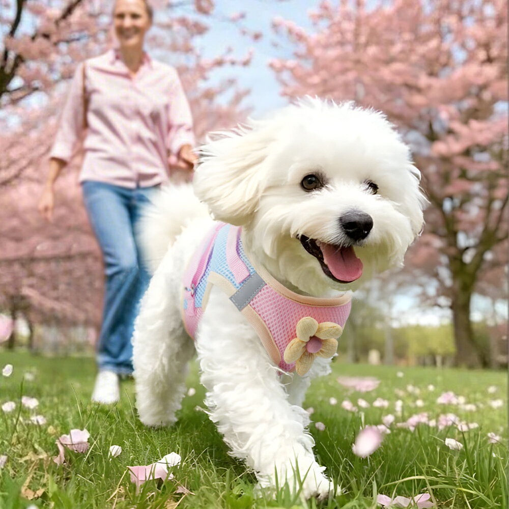 Lifestage:PuppyHigh-concerned chemical:NoneDog Harness Type:Vest HarnessesLifestage:PuppyHigh-concerned chemical:NoneDog...