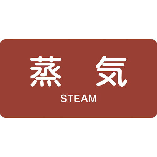【特長】■水や熱に強いアルミ製の配管識別用ステッカーです。【用途】■配管内物質の識別に。【仕様】■表示内容：蒸気/STEAM■取付仕様：貼付タイプ■縦(mm)：30■横(mm)：60■厚さ(mm)：0.1■色：暗い赤(7.5R 3/6)■セ...