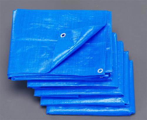 仕様：●厚み:約0.3~0.4mm●サイズ:2.7×3.6m●材質:ポリエチレン●#3000●ハトメ付●防水性、耐候性に優れ、軽くて取扱いが便利です。●工事現場の周囲の張り付けに利用可。●入数:5枚商品画像に関する注意事項：●画像に数字等の...