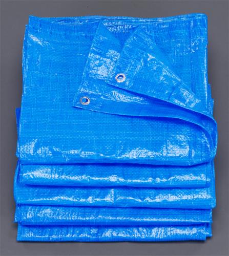 仕様：●材質:ポリエチレン●厚み:約0.06mm●サイズ(m):2.7×3.6●入数:5枚●養生や目隠し、雨・風からの保護に●ハトメ付●薄手タイプ(番手なし)●入数は5枚入りです。商品画像に関する注意事項：●画像に数字等の情報が入っている場...