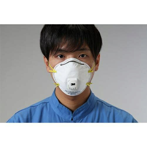仕様：●メーカー:3M●型番:8812J-DS1●捕集効率:80%以上●吸気抵抗:60Pa以下●排気抵抗:60Pa以下●入数:10枚●締め紐の固定方法:ホッチキス●使用限度時間:12時間●仕様:首・後頭部がけタイプ●用途:研磨作業、メンテナ...