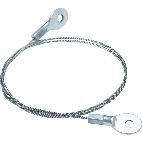 特長：両端にビス止め端子が付いています。M3〜M5用対応でワイヤ径並びに長さのバリエーションが揃っております。用途：開き止め、ビス止め用連結部品仕様：ロープ径(mm)：1.0長さ(m)：0.45長さ(mm)：450使用荷重(kg)：20穴径...