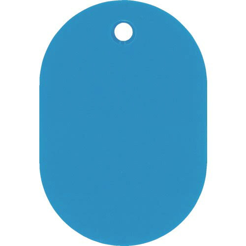 特長：キーホルダーや番号札に最適です。色を組み合わせてご使用ください。用途：分類・整理等における表示用名札として。仕様：色：スカイブルー縦(mm)：60横(mm)：40厚さ(mm)：2.5穴径(mm)：4取付方法：ボールチェーン等(別売)穴...