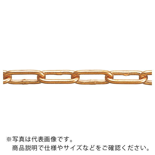 特長：銅の特性を生かしたチェーンです。熱伝導、導電率が高いです。仕様：全長(m)：5.1〜6（リンク内側×内側）使用荷重(kN)：0.59線径d(mm)：4内長P(mm)：30内幅W(mm)：6.5銅チェーン　CU-4　6m注意：見積・注文...