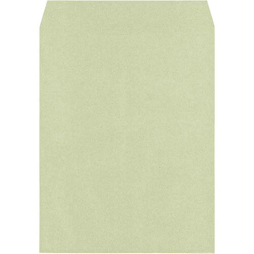 特長：古紙パルプ配合のカラークラフト封筒です。用途：B5書類（257×182）の封入に最適。仕様：タイプ：角形3号色：グレー縦(mm)：277横(mm)：216〒枠なし貼り方：スミ貼口糊：なし封入サイズ：B5書類（257×182）　●メーカ...