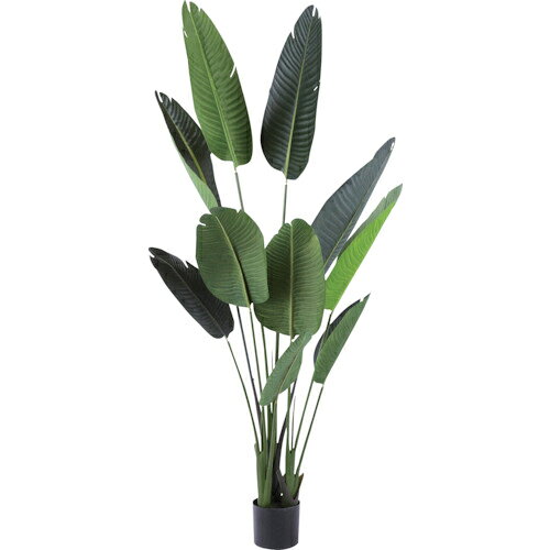特長：ストレリチアのリアルな質感を再現した人工植物の植栽です。用途：オフィスや施設などグリーンを簡単に導入することができます。仕様：タイプ：ストレリチア間口(mm)：900奥行(mm)：900高さ(mm)：1700材質／仕上：葉：PE、幹：...
