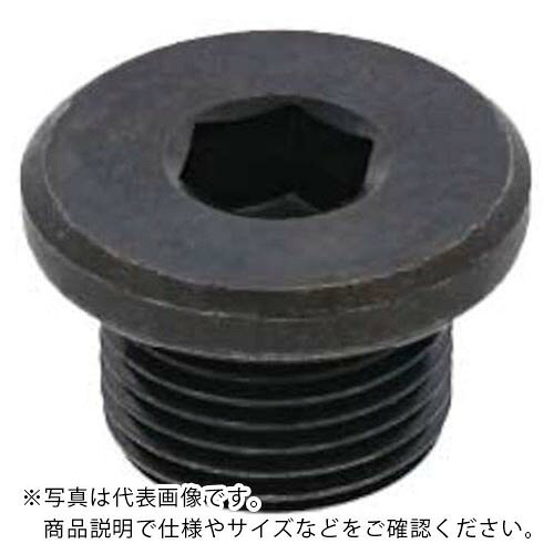 仕様：ねじ径(mm)：1/8材質／仕上：鉄（または標準）表面処理：生地（または標準）注意：簡易包装（袋又は箱）となります。メーカー基準に基づく梱包形態となります。　●代表画像について 商品によっては、代表画像を使用している場合がございます。...