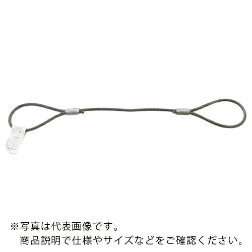 特長：物を吊り上げ・固定する際に使用します。（1本吊厳禁）土木・建築現場で一般的に使用されているワイヤです。用途：土木、建築工事などでの荷物の吊り上げ・荷物の固定仕様：全長(m)：2スリング径(mm)：12ワイヤー径(mm)：12アイ寸法(...