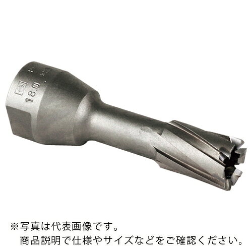 仕様：刃径(mm)：19　●メーカー取寄商品について 本商品はメーカーからの取寄商品となります。 納期は、メーカー確認後、メールでご連絡させて頂きます。 在庫状況、生産状況によっては、かなり納期がかかる場合もございます。 　※納期がかかる場...