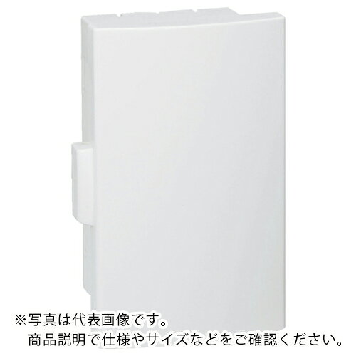特長：軽くて扱いやすく、価格も手頃な樹脂製ボックスです。耐衝撃性に優れています。ドアは簡単にボディーと分離できます。ねじや南京錠による施錠が可能です。遅燃性樹脂を使用しています。軽量で穴あけ加工が容易です。仕様：色：クリーム間口(mm)：4...