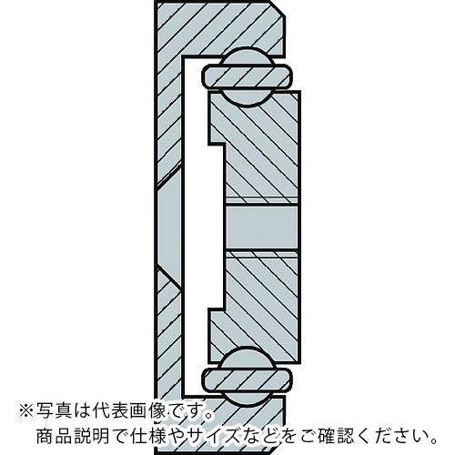 特長：3/4スライドの2段引スライドレールです。レールの脱着はできません。仕様：定格荷重(N)ペア/垂直：69アルミ合金製注意：このスライドレールは1本単位での販売です。　●メーカー取寄商品について 本商品はメーカーからの取寄商品となります...