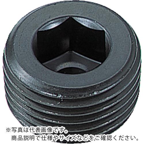 特長：配管用止め栓です。用途：一般油圧機器。仕様：呼び寸法：PT1/2二面幅B(mm)：10六角穴深さ(mm)：6表面処理：黒染め（四三酸化鉄被膜）長さt(mm)：12.5±0.4m(mm)：6.0パッケージ：ボルトンパック（ブリスター）材...