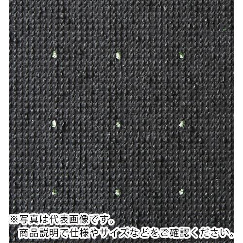 特長：人工芝面を内巻きにした簡単に施工できる汎用タイプの人工芝です。透水機能を持ち、水が下に抜けるように直径約3mmの穴が幅方向40mm、長さ方向30mmの間隔で空いています。用途：工事現場の通路や屋上、テラスなど。仕様：色：グリーンサイズ...