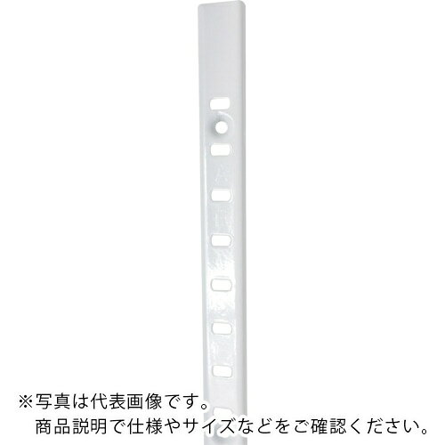特長：ステンレス製で耐久性にすぐれています。面付けで取り付けすることができます。仕様：安全荷重(kg)：30注意：この棚支柱にはWKTシリーズ『ステンレス棚受』をご使用ください。　●代表画像について 商品によっては、代表画像を使用している場...