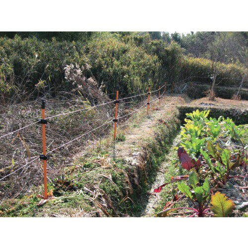 特長：簡単固定可能な碍子付き、電熱線の簡単固定ができます。用途：防獣電気柵の支柱に。仕様：碍子3個付き、機能性頭部キャップ材質／仕上：スチ−ル、PE樹脂被服、鉄、PE、ABS　●メーカー取寄商品について 本商品はメーカーからの取寄商品となり...