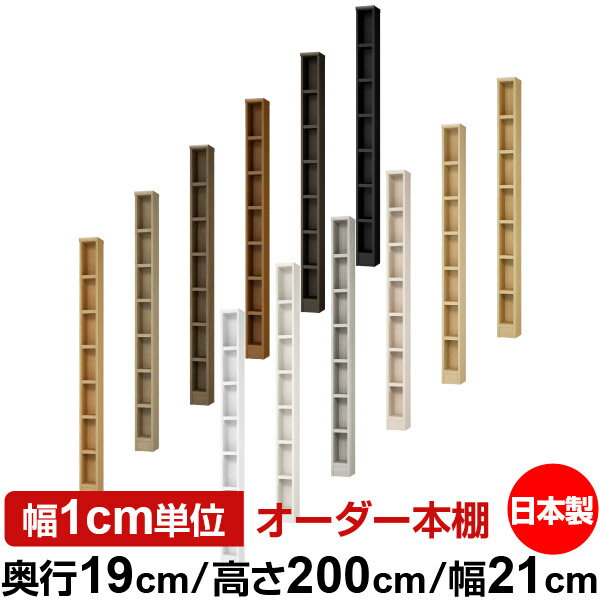 固定棚のない全棚板可動のフルオープン構造 本棚 CD，DVD，コミックの大量収納に最適　棚板は耐荷重性に優れたタフタイプ　当店独自の全棚板移動1.5cmピッチと幅木カットが選べます　低ホルムアルデヒド　F★★★★サイズ奥行19cm×高さ20...