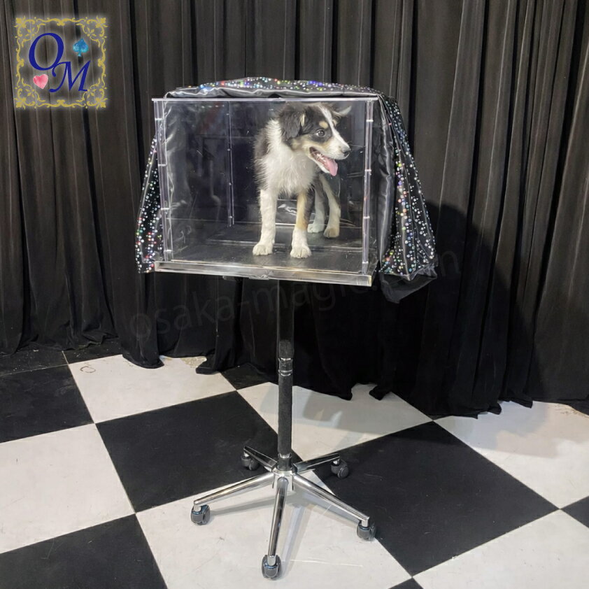 空の透明箱から子犬やギフトが現れる驚きのプロダクション！ 商品内容 ウォールナット製フレーム3枚、フレームスタンド3個、オンライン解説動画（日本語字幕） □おすすめポイント！ ✅クラシックなスリーカードモンテを額縁で表現したユニ...