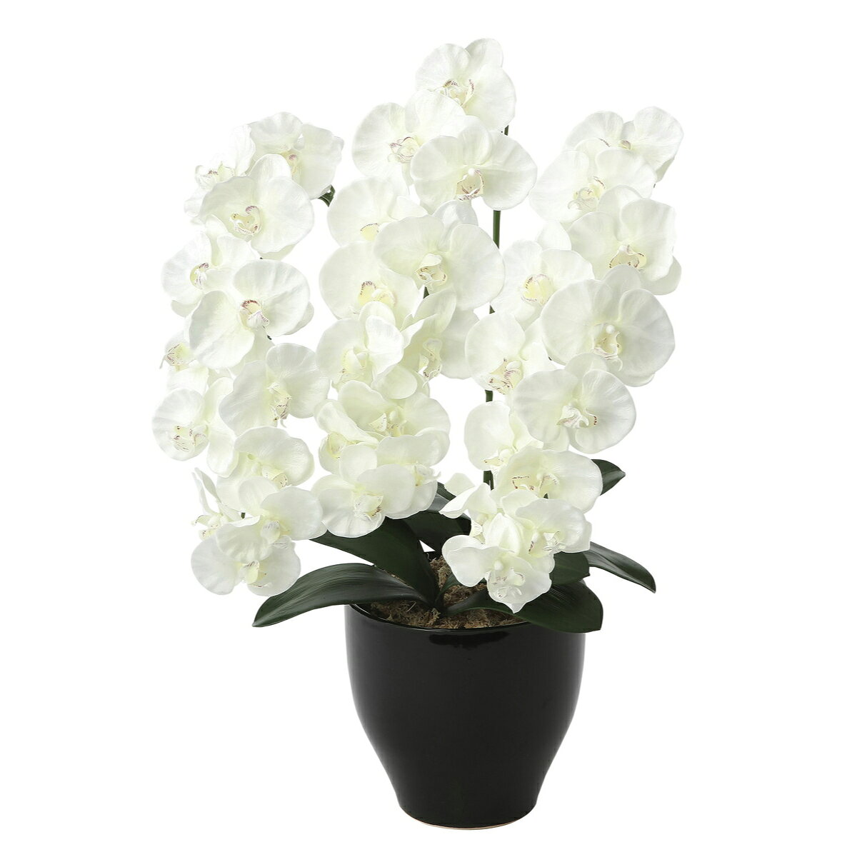 プレミアム胡蝶蘭W暮らしの空間に、季節を問わずグリーンや花の彩りを取り入れられる造花（フェイクグリーン・フェイクフラワー）。水やりの必要がなく、生の植物を置きにくい場所にも取り入れやすいのが魅力です。日々のお手入れの負担が少なく、ご家庭はも...