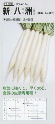 病気に強くて作りやすく、品質のよい生漬専用の漬物大根。適期まきでは、種まき後60日で根長45cm、根径6cm程度となり、曲がりが少なく尻の肉付きも良好です。