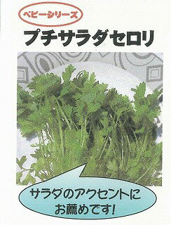 サラダのアクセントにお薦め!手軽に栽培できるニュータイプのヘルシーベジタブル。小さいうちからセロリの風味が楽しめる。サラダやスープ、刻んで薬味にも。大きくすると炒め物にも。【種まき】5〜11月