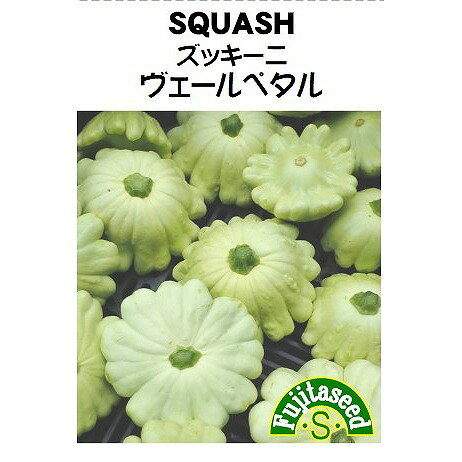 【利用方法】実は大きくしないで直径約7〜8cmで収穫すると皮も柔らかく味わえます。炒め物や天ぷら、スープなど様々な料理に利用します。【まき時期（一般地域）】4月〜5月