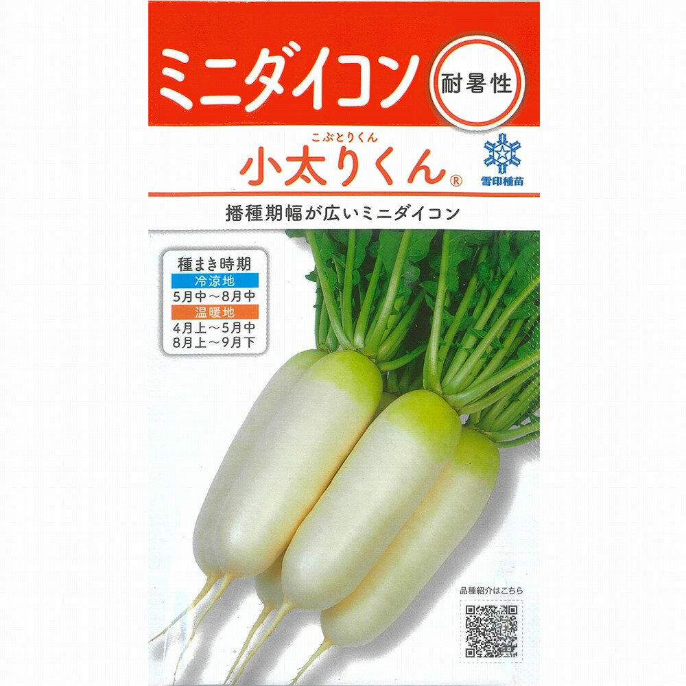 葉根っ子に次ぐミニ大根第2弾。耐暑・耐寒性にすぐれ晩抽性で播種期の幅が広い。