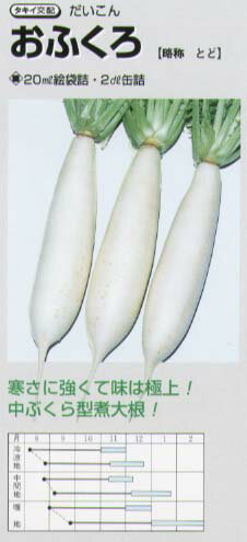 強勢で、低温黄の肥大性よく、耐病性も強くいたって作り易い中ぶくら大根。