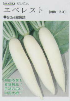 肌美しく、肉質緻密。葉はやや淡緑の板葉で、蕪の葉のように柔らかく、おでんにしても煮くずれしない。