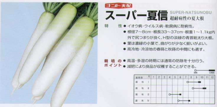 イオウ病、ナンプ病、ウイルス病に強く、赤芯など高温期の生理障害が出にくい。根長34〜36cm、根径7〜8cm、根重1.1kg前後。