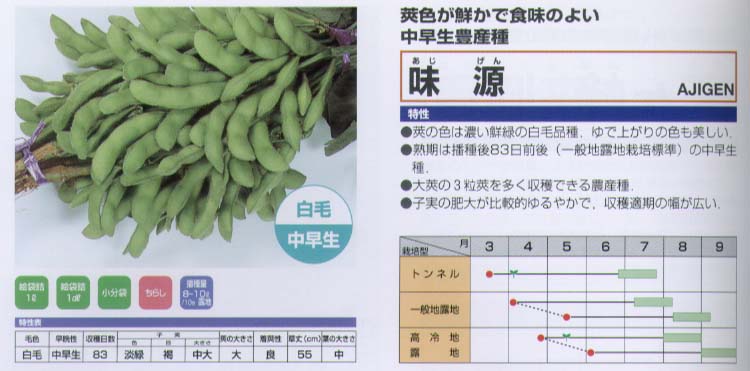 播種後83日前後(一般地露地栽培)で収穫できる中早生の白毛種。子実の肥大が比較的ゆるやかで収穫適期の幅が広い