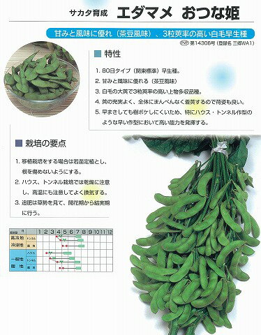 80日タイプの早生種で甘味と風味(茶豆風味)に優れる。白毛の大莢で3粒莢率が高い。