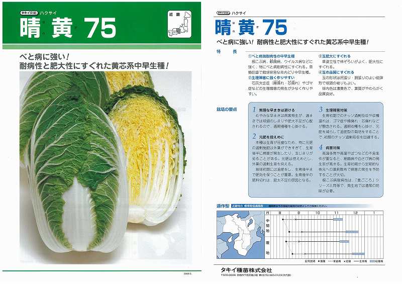 各種病害に強く、特にべと病に強い。石灰欠乏などの生理障害が少なく肥大性良好。重量2.5kg程度になる。生育日数75日。