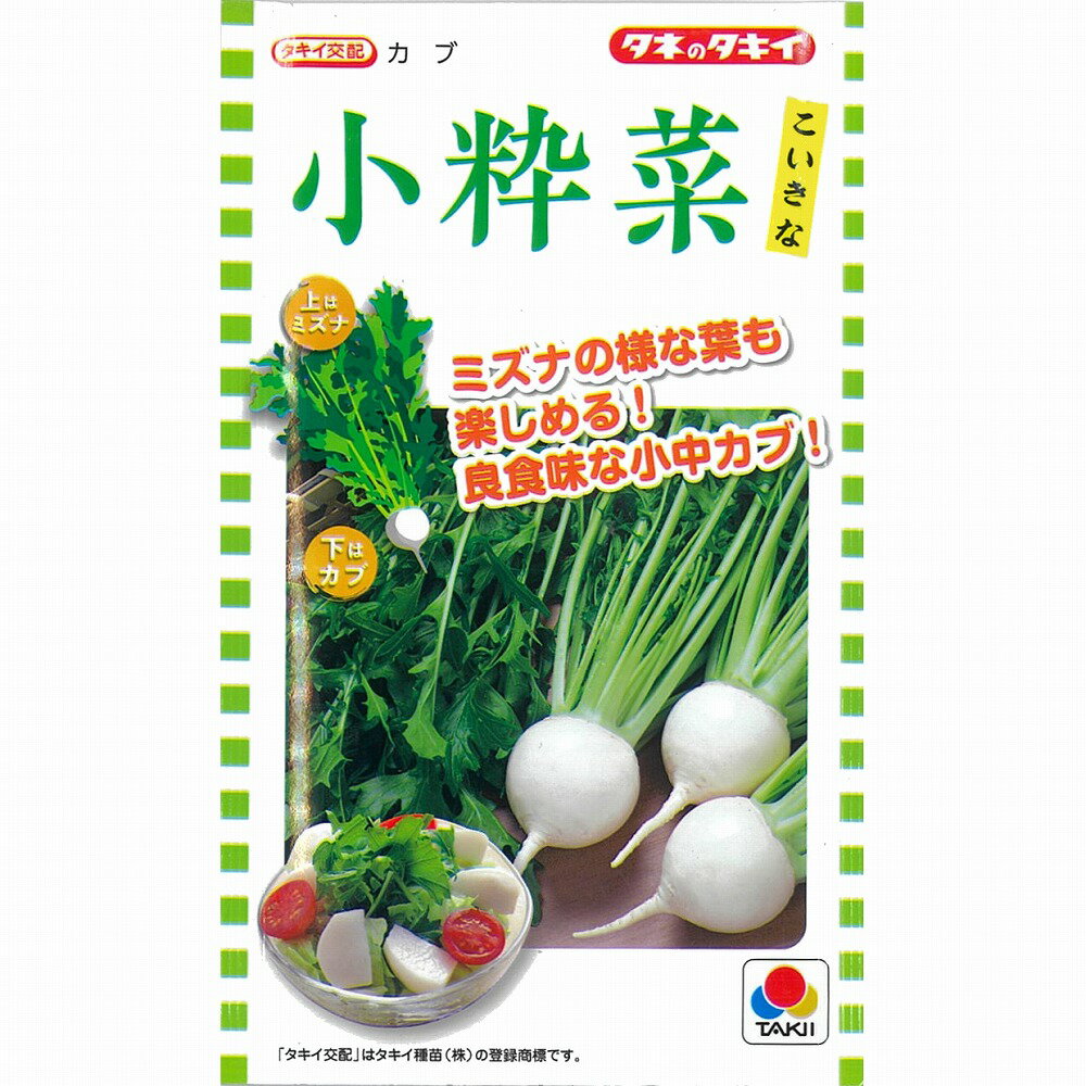 【特徴】●ミズナのような葉を持つ良食味な小中カブ。捨てる箇所なく食べられる。●種を撒いてから60～65日が収穫の目安。●根こぶ病に耐病性を持つ。