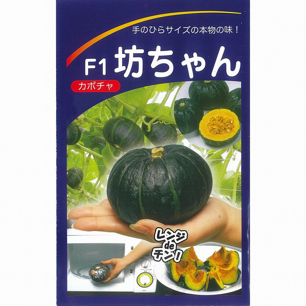 球重500g前後のミニカボチャがたくさんとれるニュータイプ。レンジで7〜8分。まるごと料理ができる。