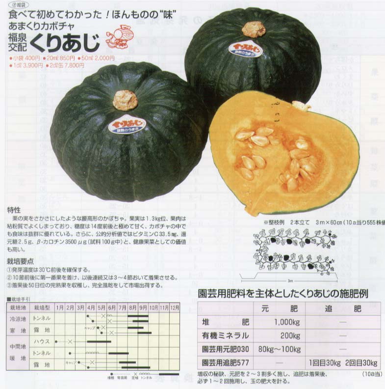 果実は1.3kgくらい。高度の粉質でよくしまっている。糖度高く、食味は洋種カボチャの中でも抜群に優れている。