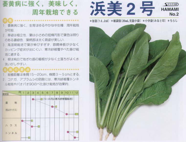 萎黄病に強く、生育はゆるやかな中生種。周年栽培が可能。高温期でも葉伸びしすぎない。