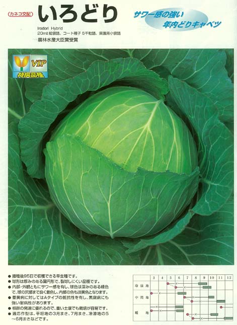 サワー感の強い年内獲り品種。球形は厚みのある扁円形で裂しにくい。