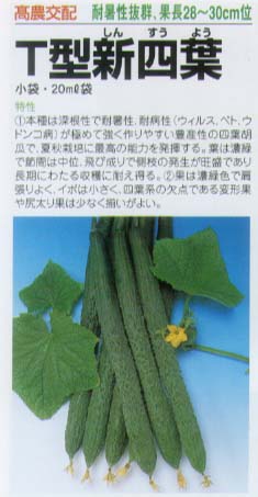 耐暑性抜群の交配四葉。