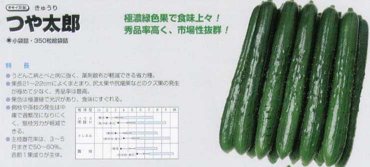 果長21〜22cm。果色は極濃緑で光沢があり、食味に優れる。市場性抜群。