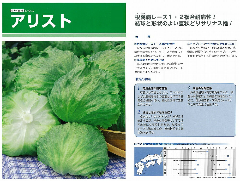 根腐病レース1.2複合耐病性を持つ。夏秋どり品種の中では肉厚となる。高温期に問題となりやすいチップバーンや玉表面で発生する日焼けは比較的少ない。