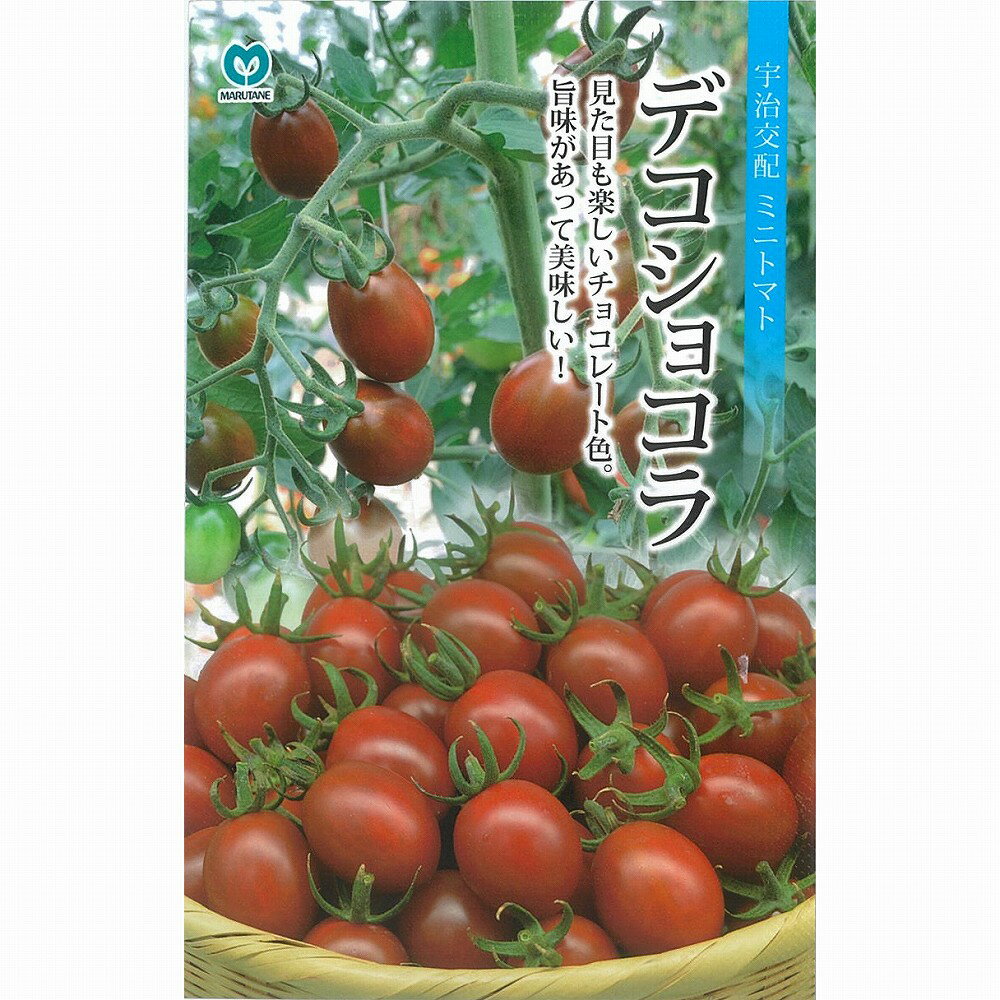 まろやかな旨味と風味のチョコレート色のナツメ型ミニトマト【特性】●果実はチョコレート色を呈するナツメ型ミニトマトです。平均果重は17gくらいでよく揃います。●糖度は9〜10度で高めで安定し、果肉はやわらかく口当たりがまろやかでたいへん美味し...