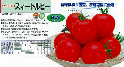 果重25から30g位、大振りのミニトマト。コクがあり、ひと味違ったおいしさです。葉カビ病、萎ちょう病、半身萎ちょう病、サツマイモネコブセンチュウ、TMVに対して安定した複合耐病虫性を有する。